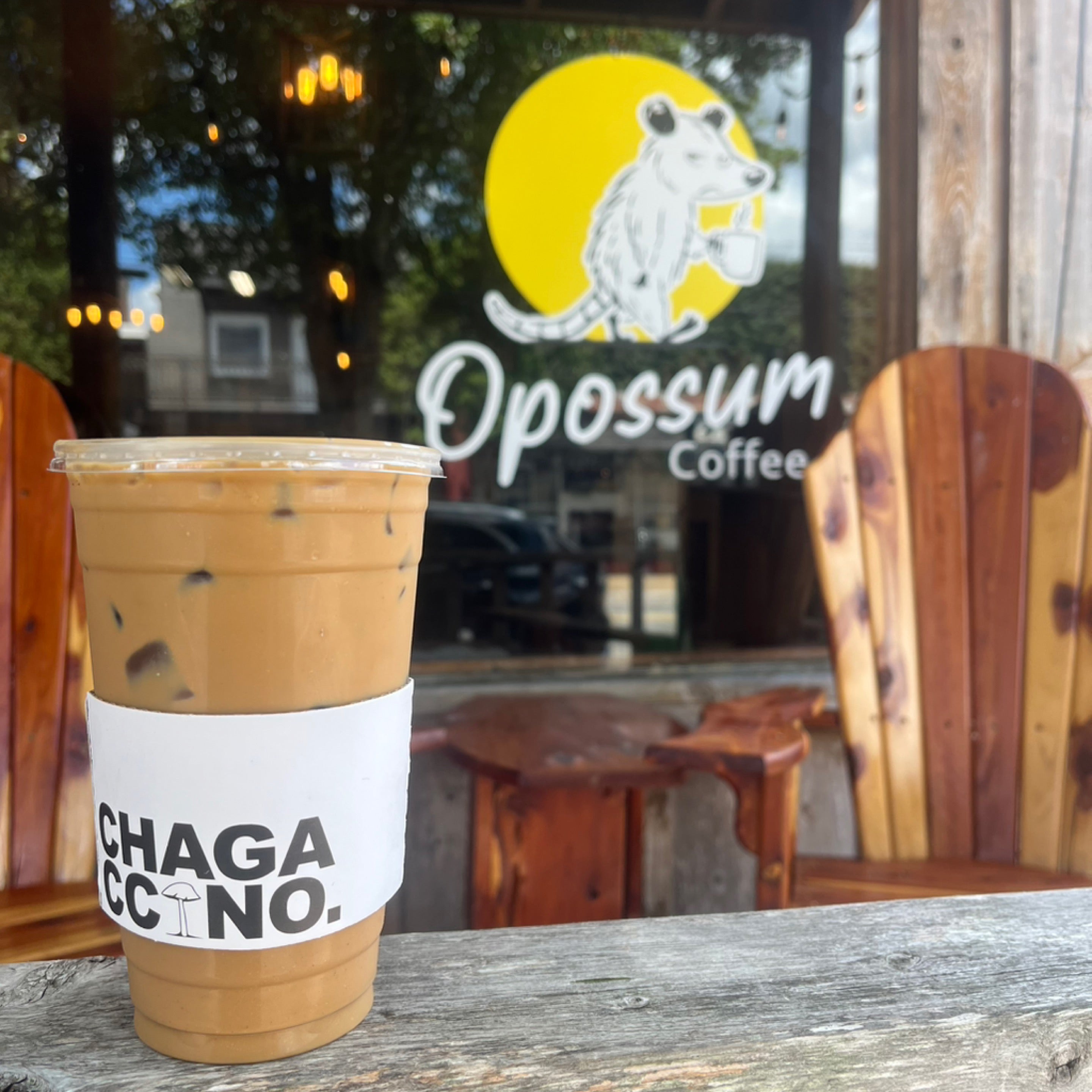 Mocha Chagaccino | OPOSSUM COFFEE COMPANY